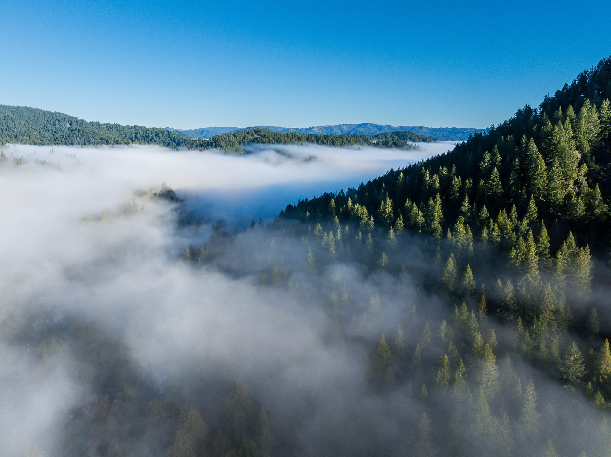 Planning Process - Monte Rio Redwoods Regional Park & Open Space Preserve